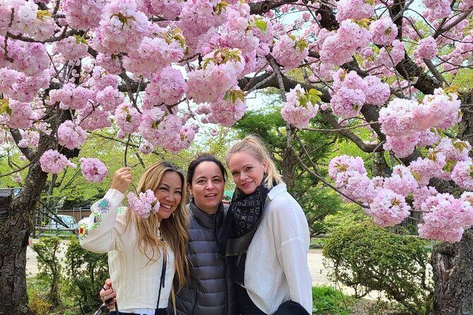 Hirosaki 4hr Private Tour with Government-Licensed Guide - Frequently Asked Questions