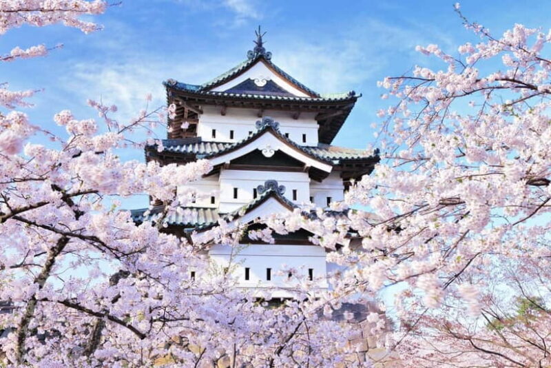 Hirosaki 4hr Private Tour with Government-Licensed Guide - Who Will Love This Tour?
