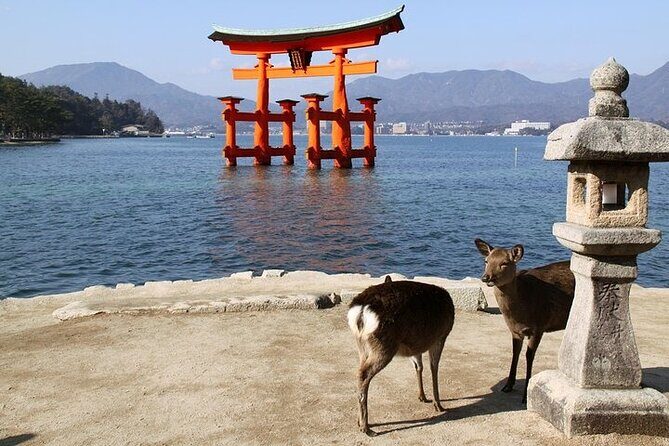 Hiroshima and Miyajima 1 Day Tour from Kyoto or Osaka - Miyajima: The Shrine Islands Sparkling Highlights