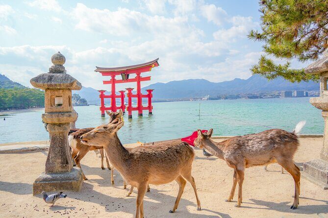 Hiroshima and Miyajima Full-Day Tour from Kyoto by Bullet Train - FAQs