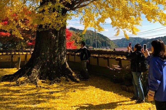 Hiroshima Country Cycling: Explore Rural Life 1 HR from City - Who Will Love This Tour?