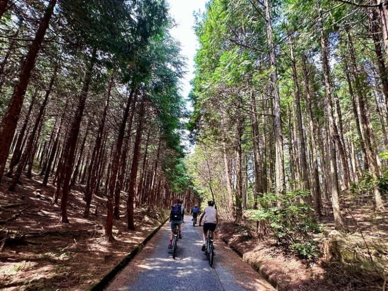 Hiroshima Country Cycling: Explore Rural Life 1 HR from City - The Experience: An In-Depth Look