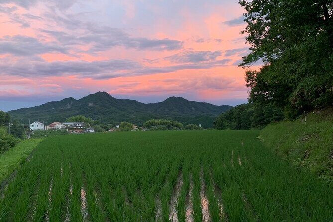 Hiroshima Forest Kyudo and Village Life Experience - Discovering Hiroshima’s Countryside: The Core Experience