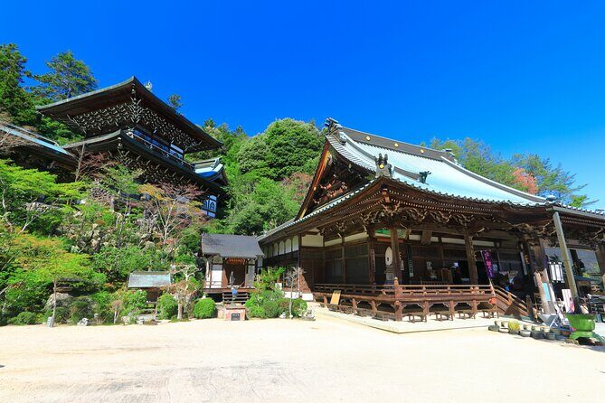 Hiroshima guide take you to two World Heritage Sites in Hiroshima - Who Is This Tour Best For?