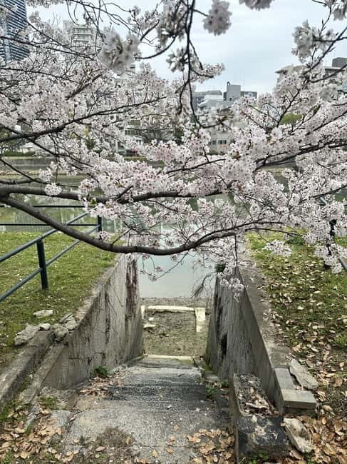 Hiroshima Highlights & Hidden Gems: Private Walking Tour - FAQ
