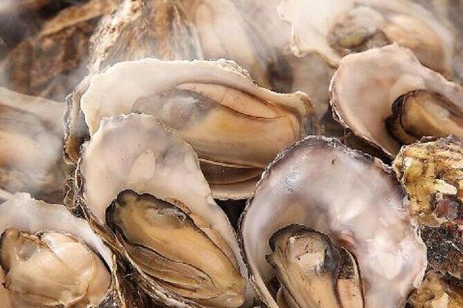 Hiroshima Local Food and Peace Memorial Park 1 Day Walking Tour - Authentic Experiences That Add Value