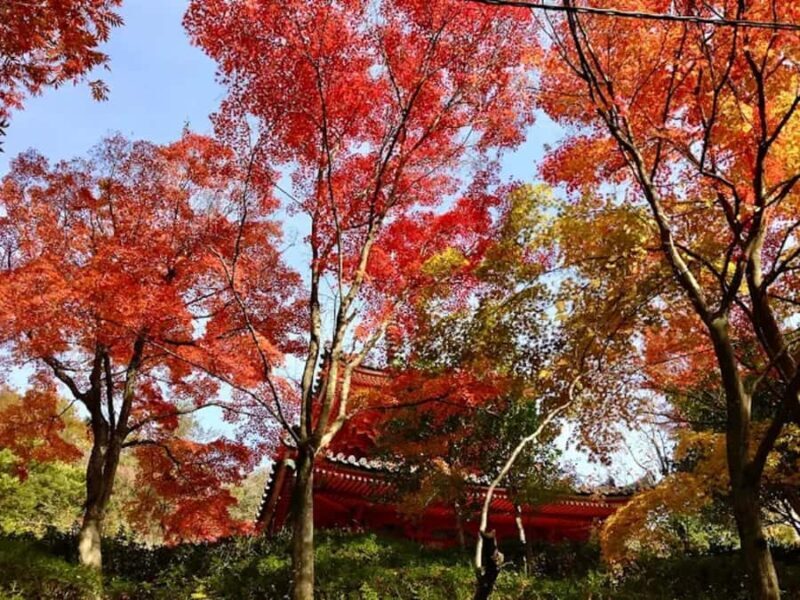 Hiroshima: Mitaki-dera Temple and Peace Pagoda Tour - Final Thoughts