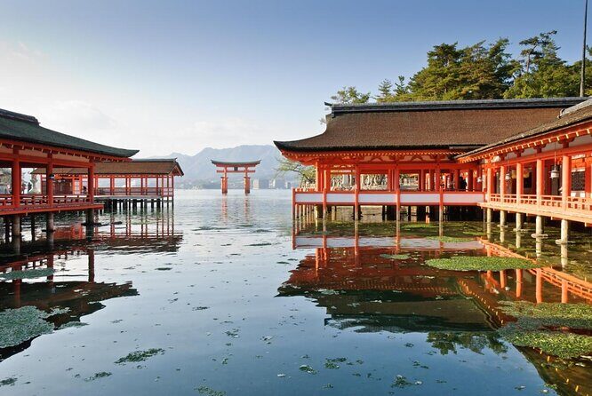 Hiroshima & Miyajima 1 Day Bus Tour with Shinkansen Train Tickets - Key Points