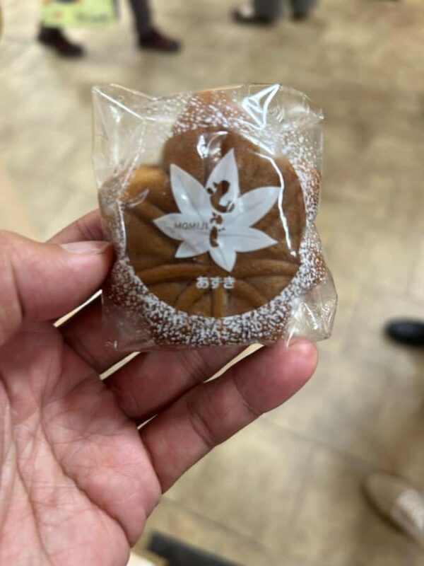 Hiroshima & Miyajima: 6.5-Hour Private Tour (Spanish Guide) - Key Points