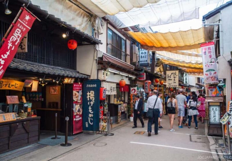 Hiroshima & Miyajima: History, Beauty, and Iconic Views - Practical Aspects: What to Expect