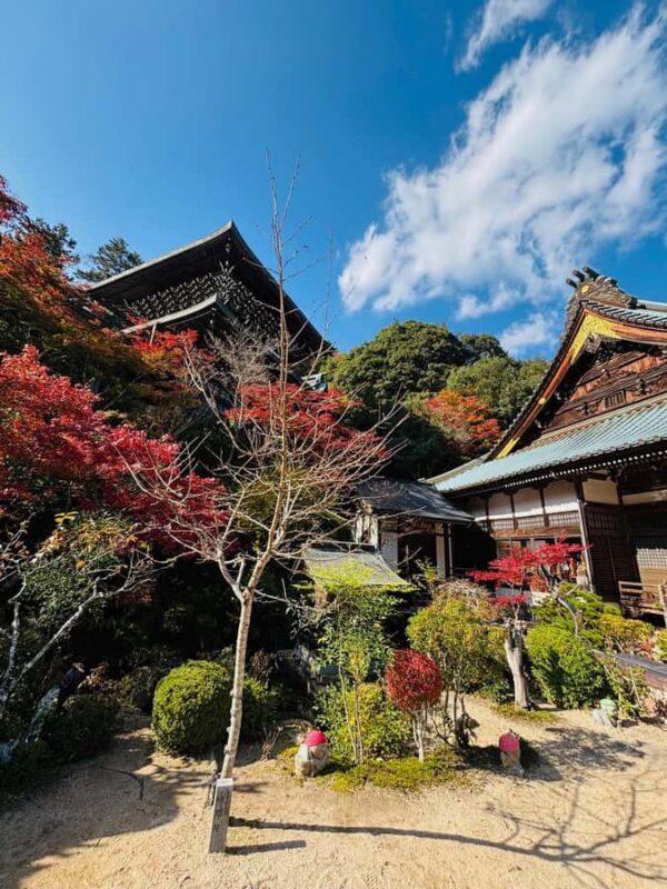 Hiroshima: Miyajima Private Tour with Ferry Ride - Key Points