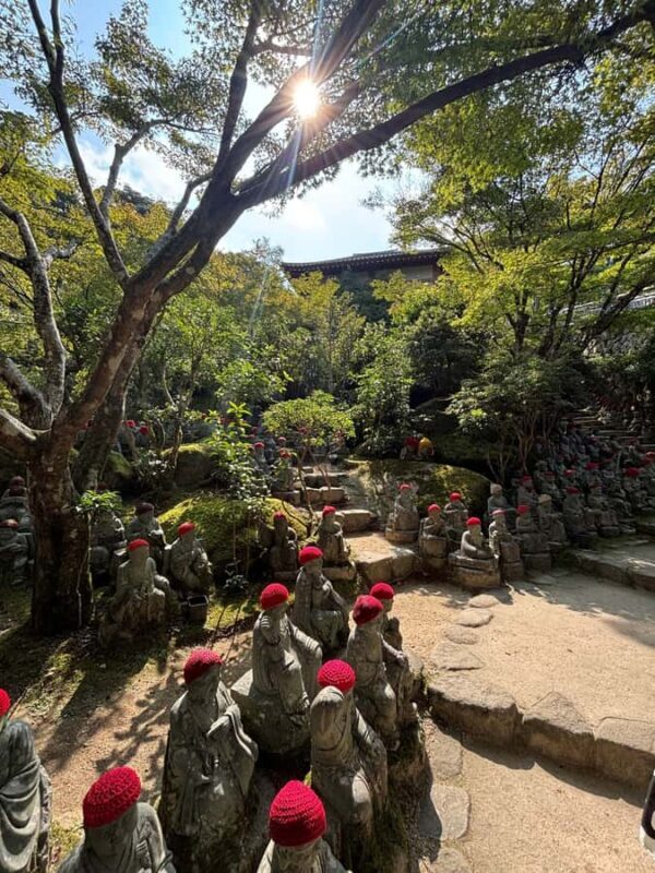 Hiroshima: Miyajima Private Tour with Ferry Ride - Visiting Daishoin Temple and Other Highlights