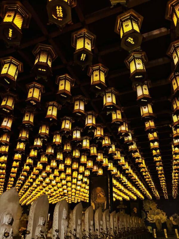 Hiroshima: Miyajima Private Tour with Ferry Ride - The Comfort of a Well-Organized Schedule