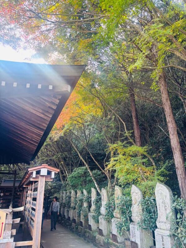 Hiroshima: Miyajima Private Tour with Ferry Ride - What Travelers Are Saying