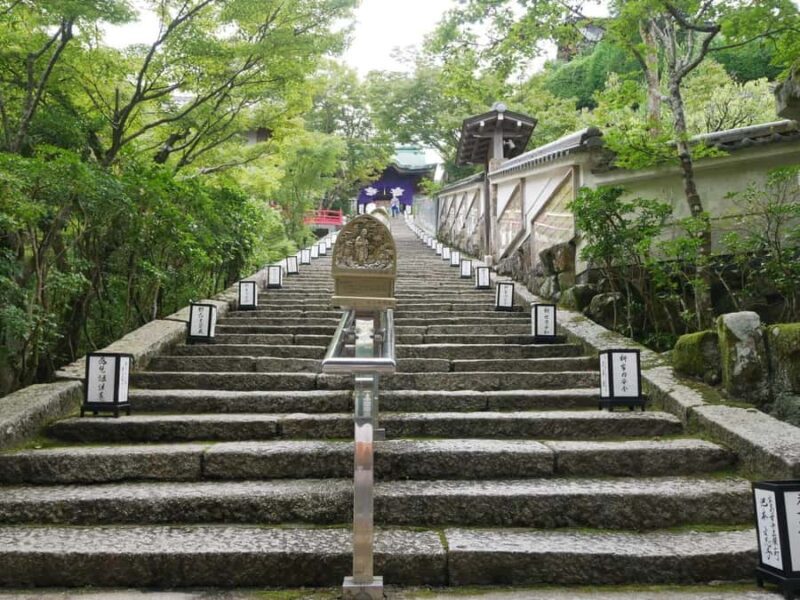 Hiroshima: Miyajima Private Tour with Ferry Ride - Practical Details and Considerations