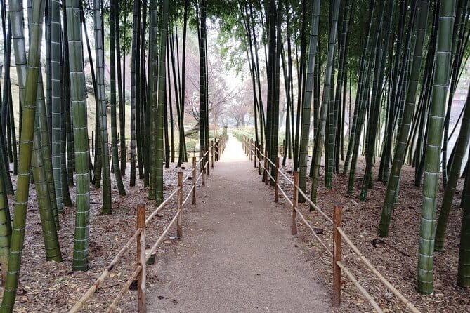 Hiroshima Shukkei-en Garden with local guide 90min - What to Expect During the Guided Experience