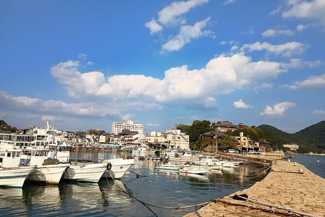 Hiroshima: Tomonoura Nostalgic Port Town Private Tour with Local - What Travelers Are Saying (Based on Feedback)