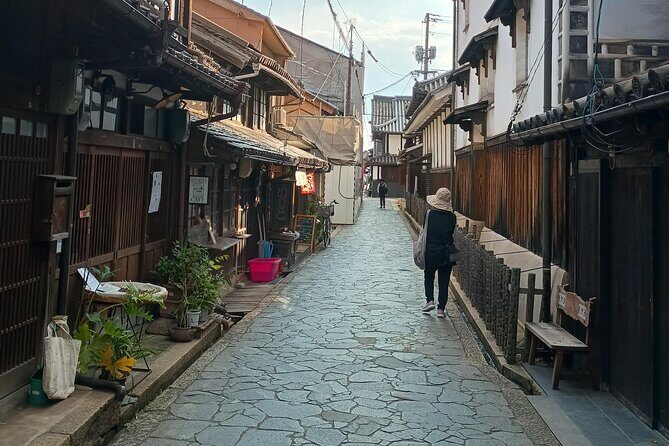 Hiroshima: Tomonoura Nostalgic Port Town Private Tour with Local - Who Should Consider This Tour?