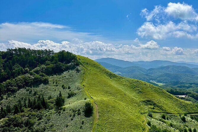 Hiroshima: Zen Hike & Matcha with a Monk in Nature - Key Points