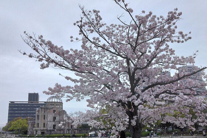 Hiroshimas Peace Park & Hidden Witness Buildings Tour - The Sum Up