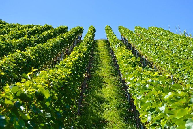 Historic Athens & Wine Tour in Nemea in 8hrs - A Closer Look at the Tour Itinerary
