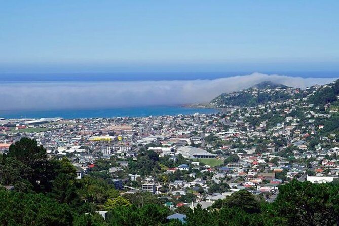 Historic Battery Point - Who Is This Tour Best For?