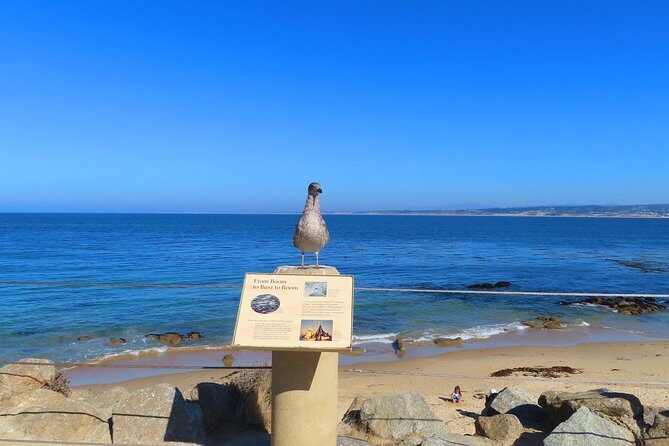 Historic Cannery Row: A Self-Guided Audio Tour of John Steinbeck's Monterey - Frequently Asked Questions (FAQs)