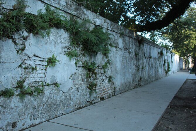 Historic Garden District Walking Tour - Final Thoughts: Who Should Take This Tour?