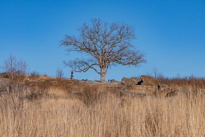 Historic Gettysburg  Self-Guided Walking Tour - A Deep Dive into the Experience