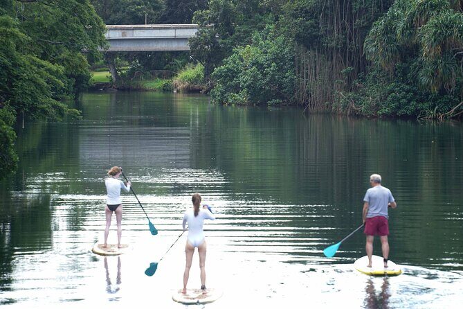 Historic Haleiwa Rainbow Bridge Stand Up Paddle (Anahulu River) - Key Points