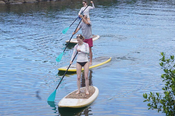 Historic Haleiwa Rainbow Bridge Stand Up Paddle (Anahulu River) - Practical Details: What You Should Know
