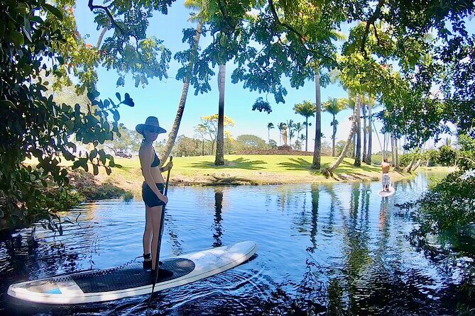 Historic Hilo Bay & Coconut Island SUP Adventure - Highlights of the Tour