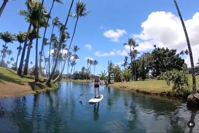 Historic Hilo Bay & Coconut Island SUP Adventure - Authentic insights from past guests