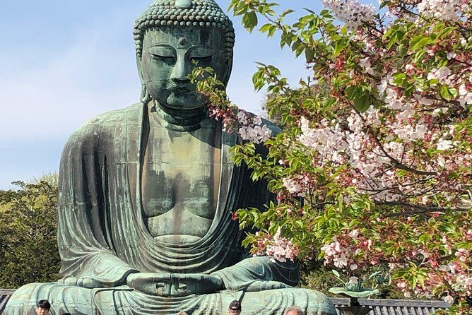 Historic Kamakura: Temples, Shrines and Street Food Private Walking Tour - Who Should Choose This Tour