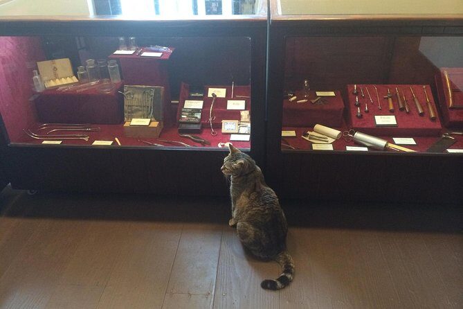 Historic Museum Tour Ticket - FAQ: Your Practical Questions Answered