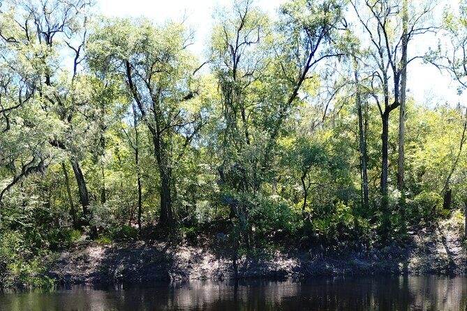 Historic Mystery Walking Tour in Florida - FAQ