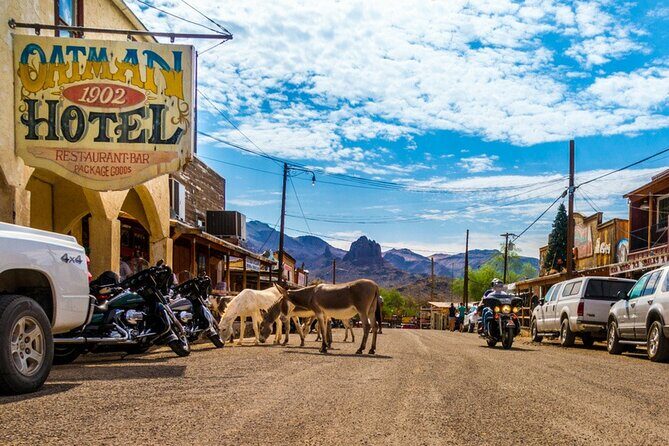 Historic Route 66 Bus Tour to Oatman - Introduction