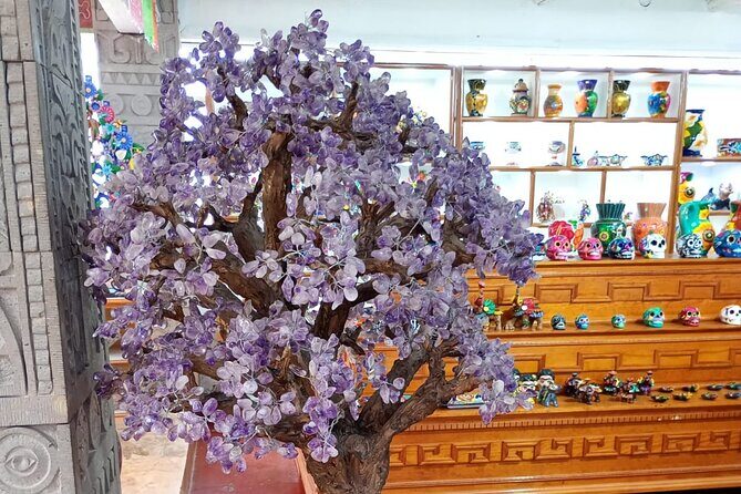 Historic Tour Teotihuacan - Exploring Teotihuacan: The Heart of the Tour