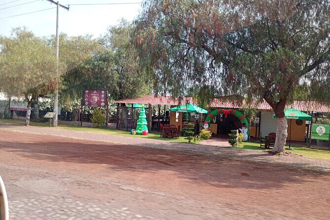 Historic Tour Teotihuacan - Who Should Consider This Tour?