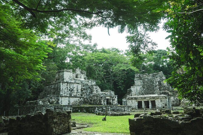 Historic Visit of Cobá with Unique Cenotes - What Travelers Say