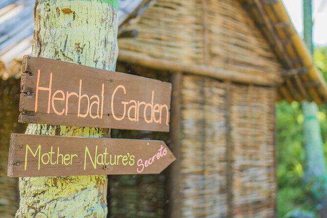 Historical 18th Century Estate Tour with Coconut Tasting - What to Expect at the Estate: An Authentic Journey