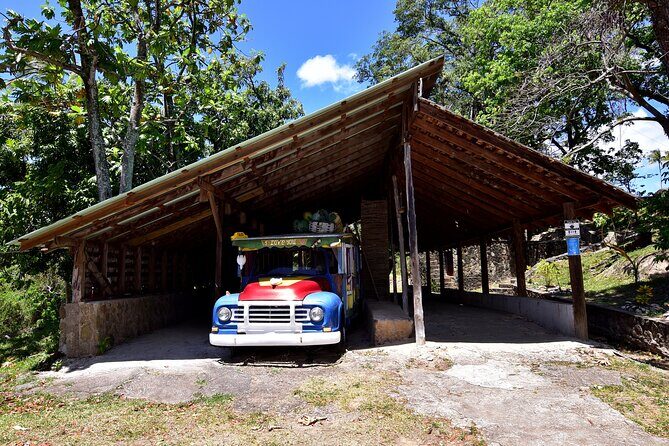 Historical 18th Century Estate Tour with Coconut Tasting - The Grand Estate House and Views