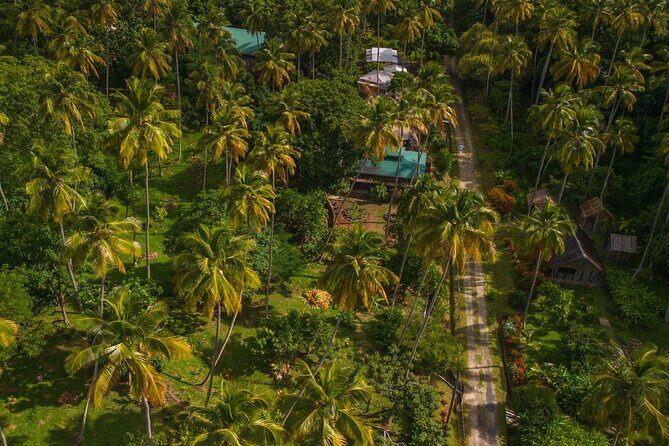 Historical 18th Century Estate Tour with Coconut Tasting - Practical Details and Tour Logistics