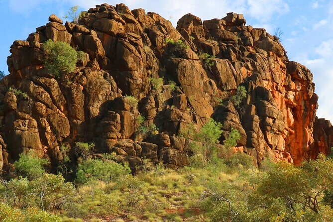 Historical Alice Tour - The Bottom Line