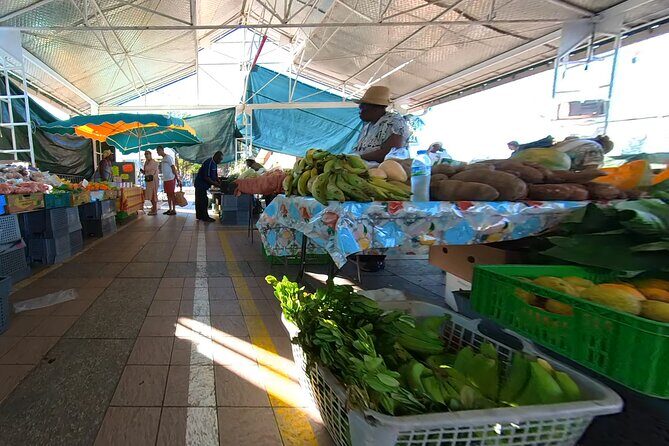 Historical and Panoramic Tour along Caribbean Coast and in Tropical Forest - FAQs about the Tour