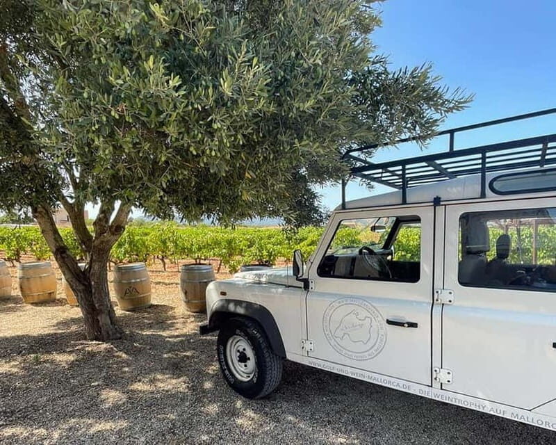 HISTORICAL BODEGA TOUR AND WINE TASTING - Key Points