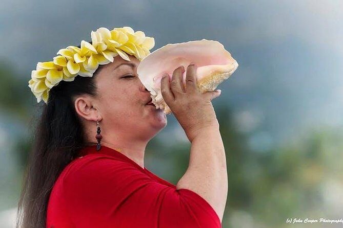 Historical Dinner Cruise to Kealakekua Bay - An Engaging Overview of the Experience