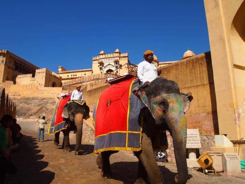 Historical, Exclusive, Delhi with Jaipur Tour (03 Days) - Deep Dive into the Itinerary