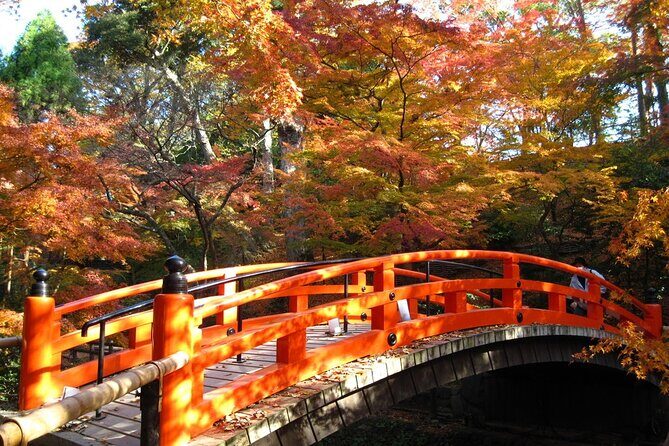 Historical Kyoto E-Bike Tour - Who Will Love This Tour?