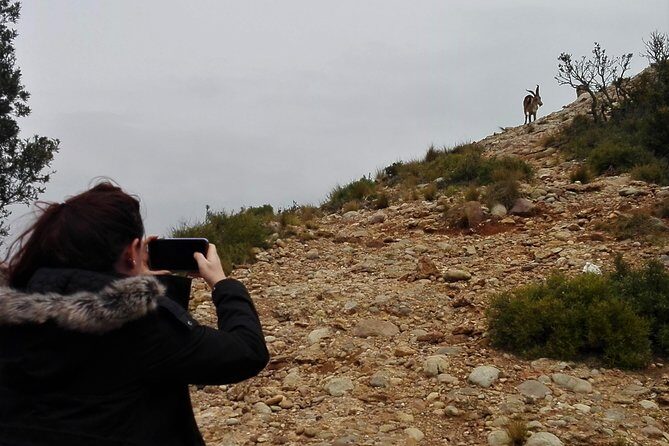 Historical Montserrat Half-Day Hiking Tour from Barcelona - The Sum Up: Who Should Book This Tour?